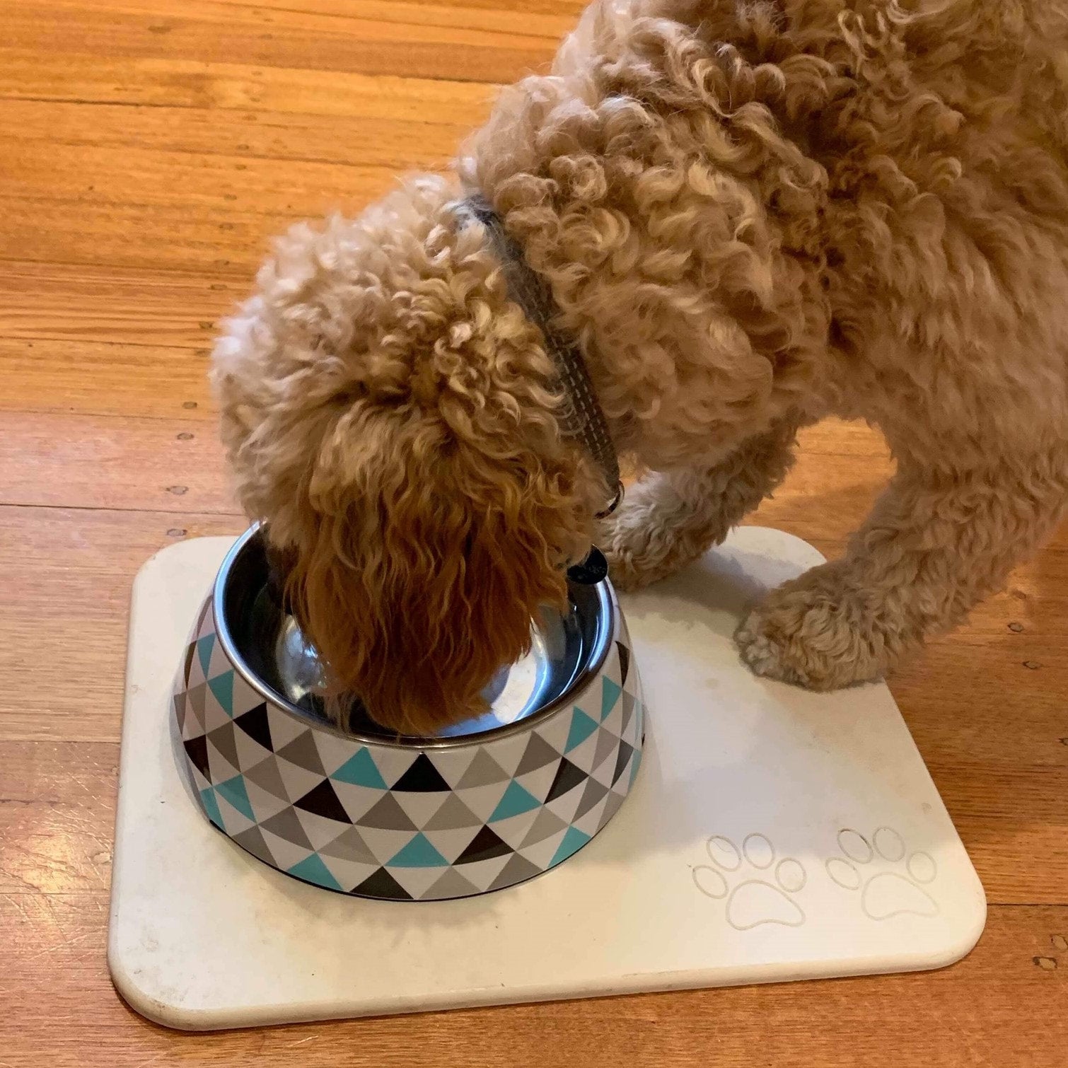 Half Size - Pet Paw, drip mat | Drysorb